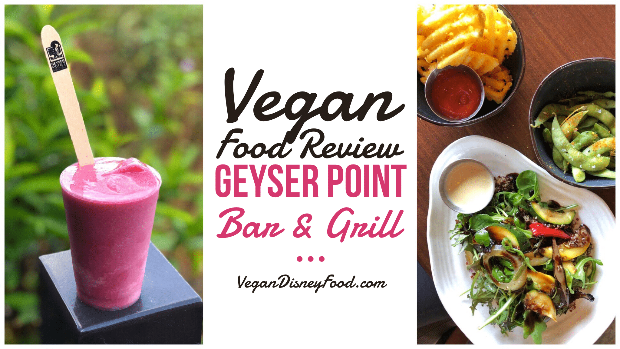 Vegan Disney Food Review: Geyser Point Bar & Grill at Disney’s ...
