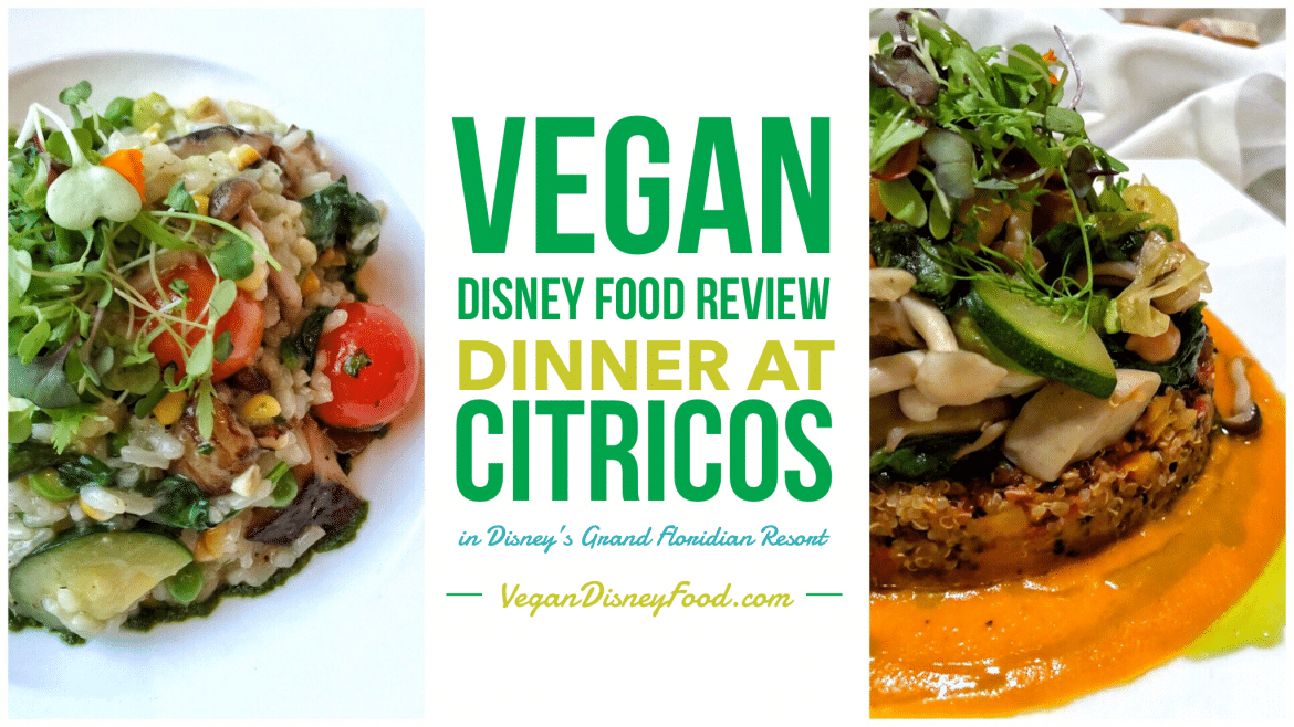 Vegan Disney Food Video – Citricos Dinner Review at Grand Floridian