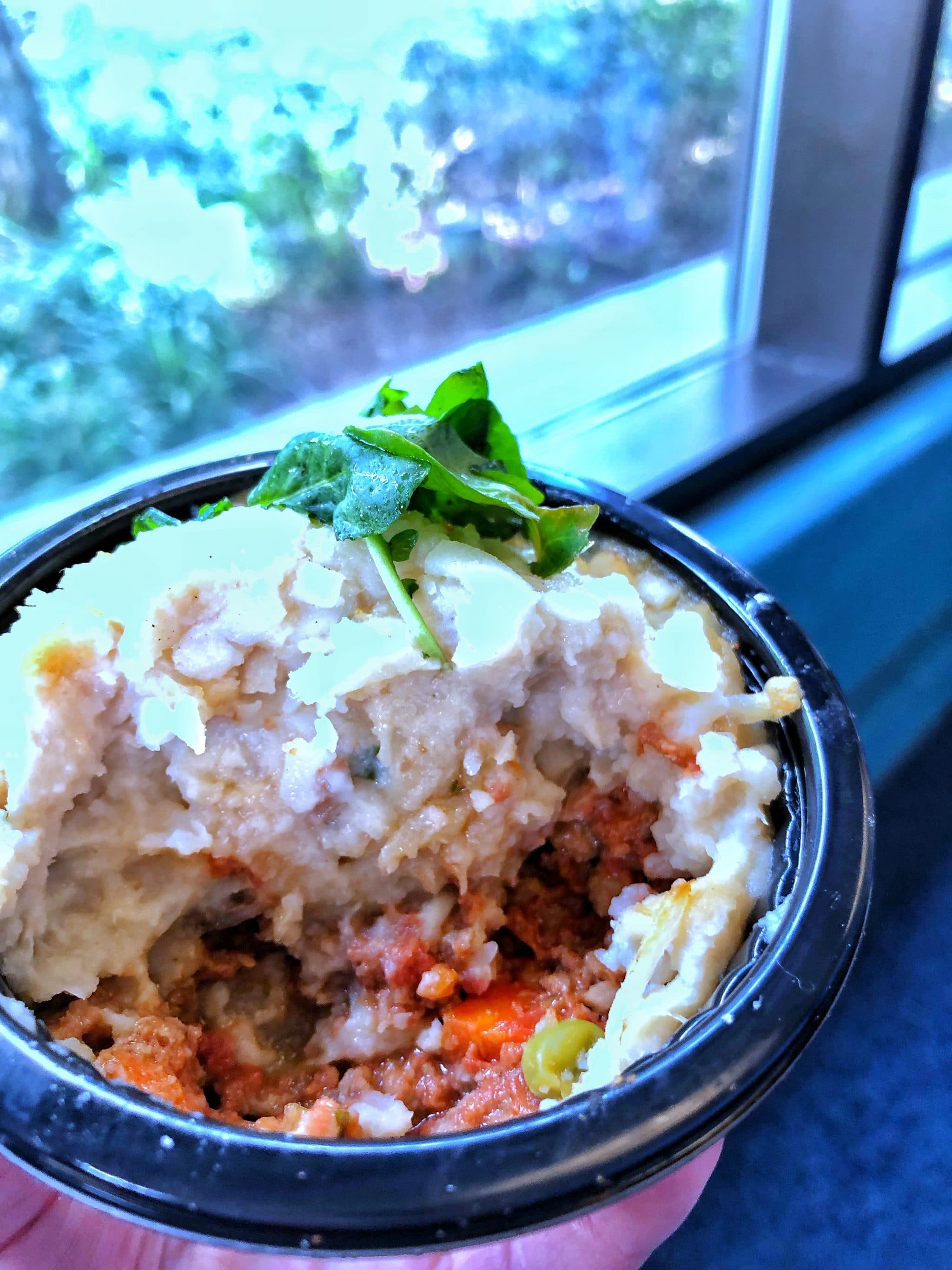 Vegan Options at the NEW 2020 Taste of Epcot Food and Wine Festival