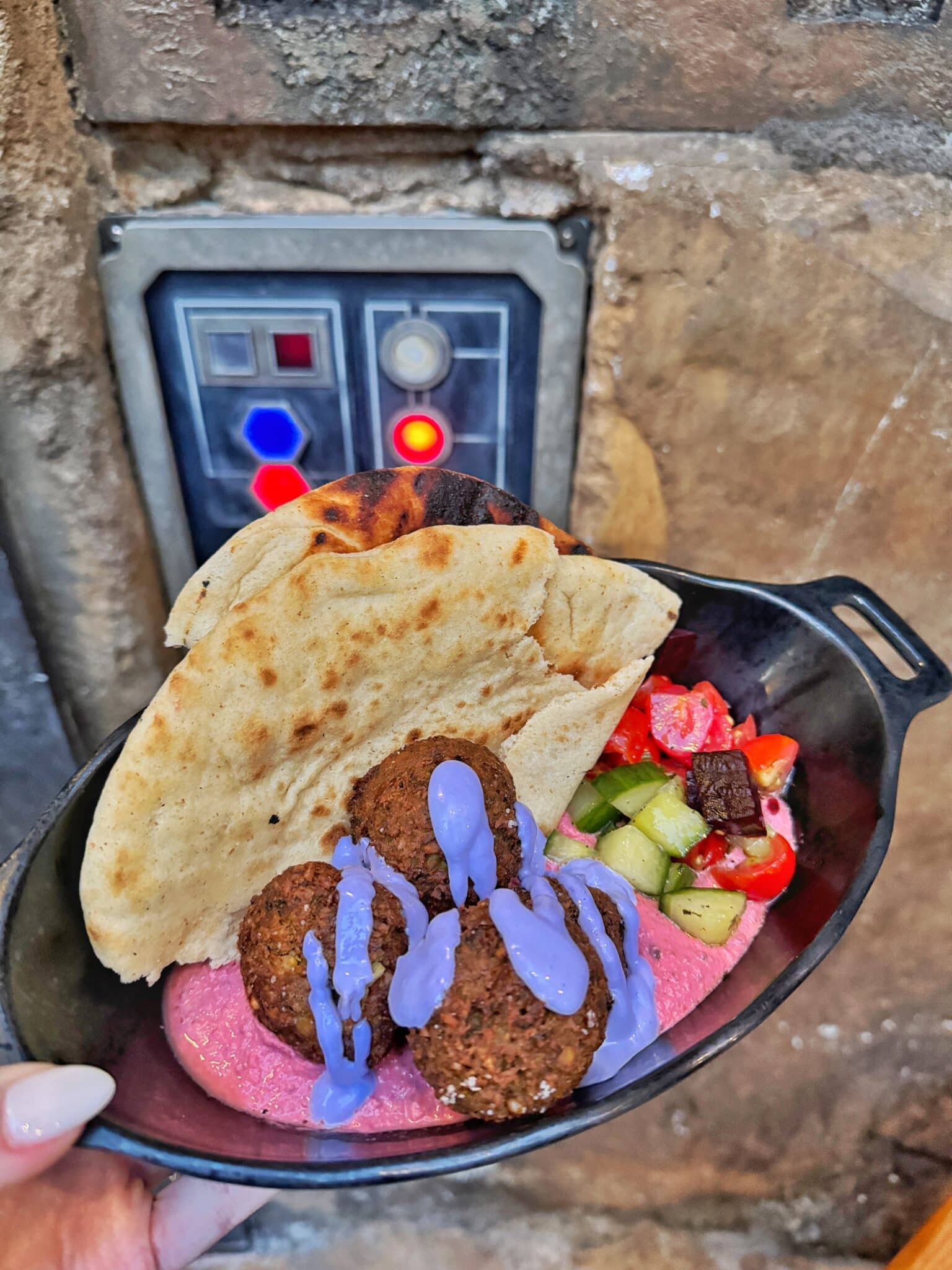 NEW Felucian Garden Spread Switches Kefta for Falafel at Walt Disney ...